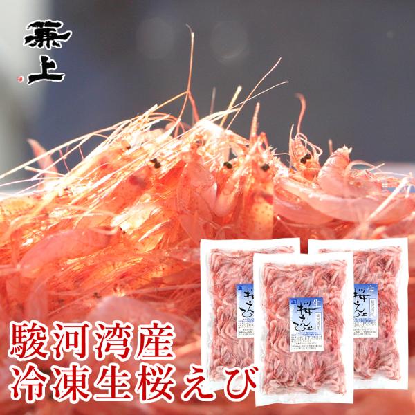 兼上 生桜えび 駿河湾産 100g×3袋 由比港水揚げ お刺身■商品特徴由比港で水揚げされた鮮度よい桜えびを急速冷凍しました。トレイを使わずそのまま袋詰め。薄いため冷凍庫に入れても場所をとらず、流水解凍ですぐに解凍できます。お刺身、かき揚げ...