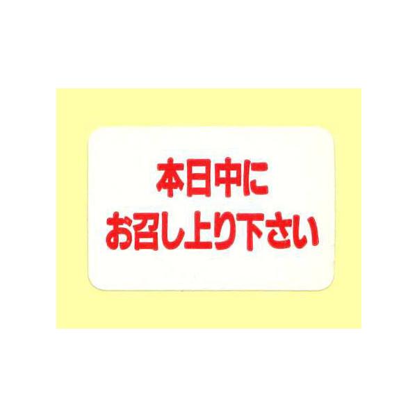 サイズ：20×30mm　材質：キャストコート