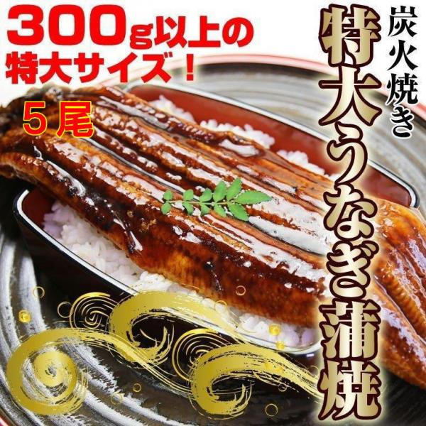 まとめ買い用うなぎ蒲焼き5尾です。14kgまで同じ送料となりますのでまとめ買いがお得です。