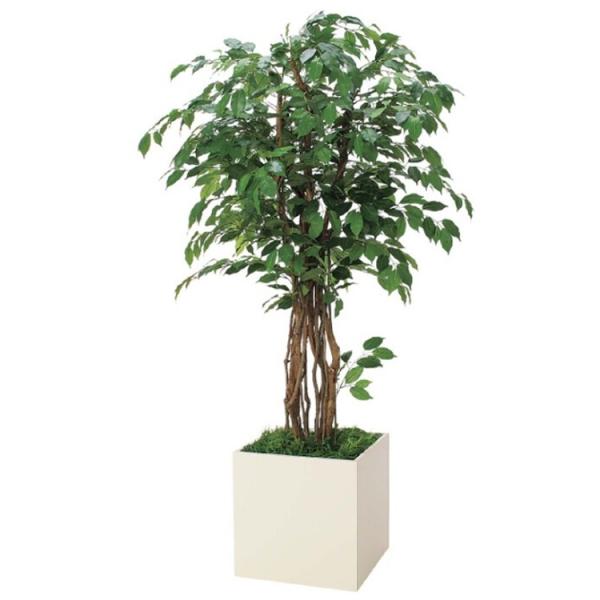 ブランド名ベルク商品名グリーンモード 樹木プランター フィカスベンジャミン品番GR5108プランター外寸法（ｍｍ）400×403×400外寸法（グリーン含む）（ｍｍ）約1000×1900×1000重量（kg）15.1本体14mmMDF紙貼り...