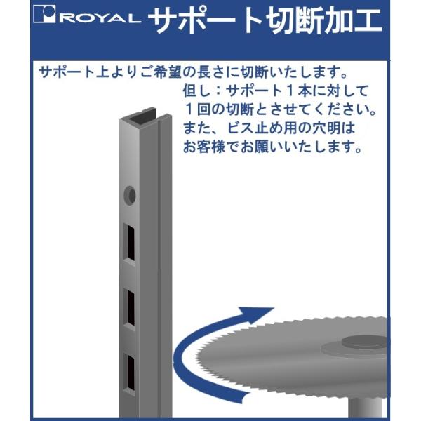 【※ご注意：配送業者の関係上、ご希望の時間指定に沿えない場合があります】ポイント利用・expoint01