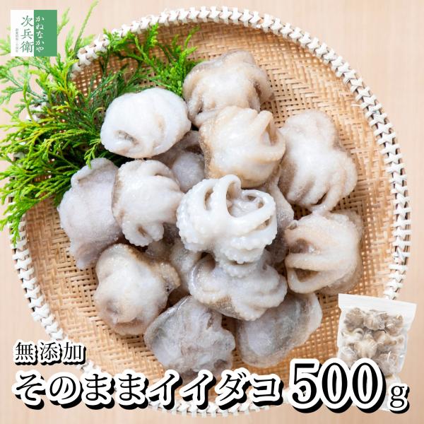 ■商品名：イイダコ（コツブイイダコ）■内容量：500g（約15個入）■賞味期限：冷凍60日以上保証■原材料名：イイダコ（コツブイイダコ）■原料原産地名：ベトナム■凍結前加熱の有無：加熱してありません■加熱調理の必要性：加熱してお召し上がり下...