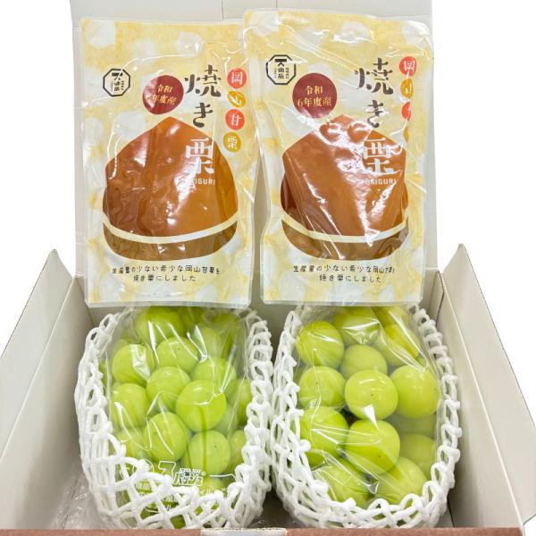 【氷温貯蔵シャインマスカット冬姫】2房氷温は0℃から凍りはじめるまでの温度域で貯蔵する技術で、氷温貯蔵されたシャインマスカットは、収穫から一定期間、鮮度や風味が保たれます。一般社団法人あばグリーン公社と連携し、同社が管理する氷温庫において一...