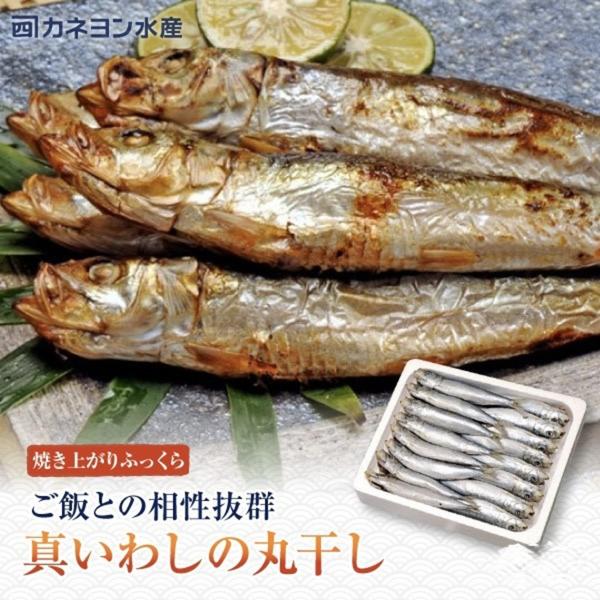 ごはんが進む！ふっくら仕上げの丸干しです。厳選された旬のマイワシを丁寧に乾燥させました。うす塩に仕上げ、口当たりは柔らかです。軽く焼くだけでお召し上がりいただけます。