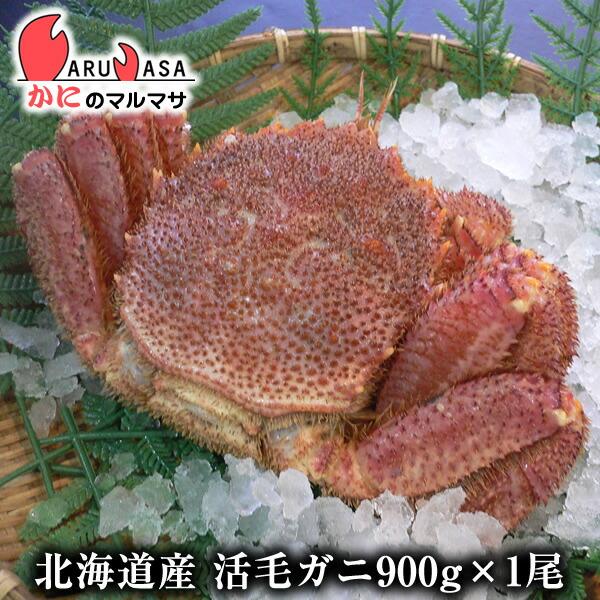新千歳空港近くに店舗を構える活蟹専門店「かにのマルマサ」です。北海道沿岸で水揚げされた毛ガニを厳選し、鮮度にこだわってお届けします。総水量50トンの大型水槽で発送直前まで活力を保ち、クール冷蔵の航空便で翌日お届けいたします。活ガニには調理レ...