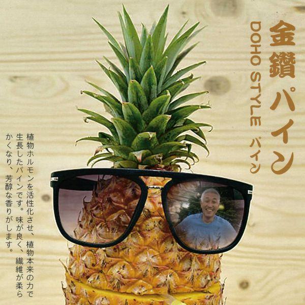 植物ホルモンを活性化させ、植物本来の力で成長したパインです。味がよく繊維がやわらかくなり、芳醇な香りがします。芯まで食べられます。１箱約１０ｋｇ（７玉前後入）４月中旬頃から順次発送予定です。ご予約商品のため、他の商品と同梱、お届け日のご指定...