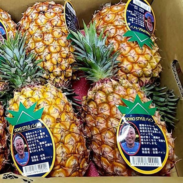 植物ホルモンを活性化させ、植物本来の力で成長したパインです。味がよく繊維がやわらかくなり、芳醇な香りがします。芯まで食べられます。１箱約５ｋｇ（４玉前後入）４月中旬頃から順次発送予定です。ご予約商品のため、他の商品と同梱、お届け日のご指定は...