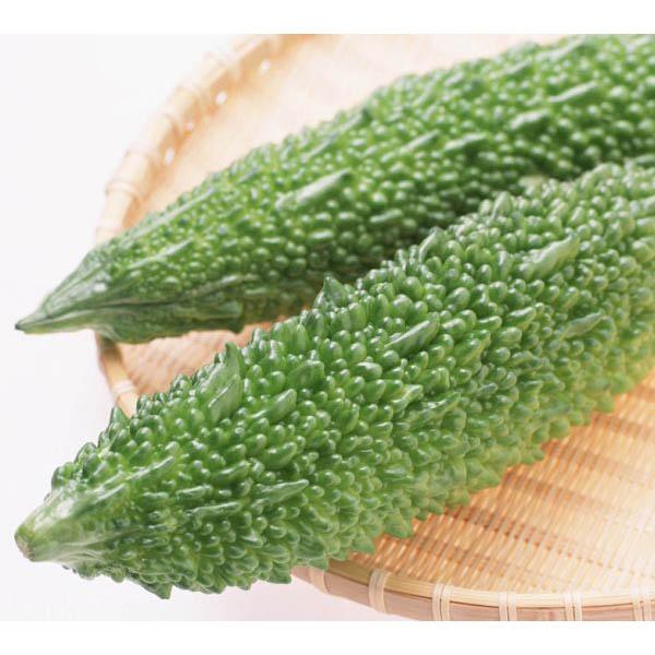 生産地は通年を通して変化しますが、常時国内産をお届け致します。１箱約２．５ｋｇ：１０本前後（大きさにより本数は異なります）〜こだわり〜新鮮なものをより良い状態でお届けするため、希望日時にお届けできない場合がございます。１回の送料で３箱までお...