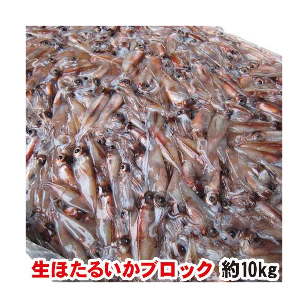 ホタルイカ ブロック 10kg 船内冷凍 送料無料,ホタルイカブロック約10kg【送料無料】業務用 刺身可船内冷凍で鮮度抜群!釣りエサなどにもご利用いただけます【検索キーワード】 ホタルイカ,蛍烏賊,イカ,いか,烏賊,日本海,山陰,香住,し...