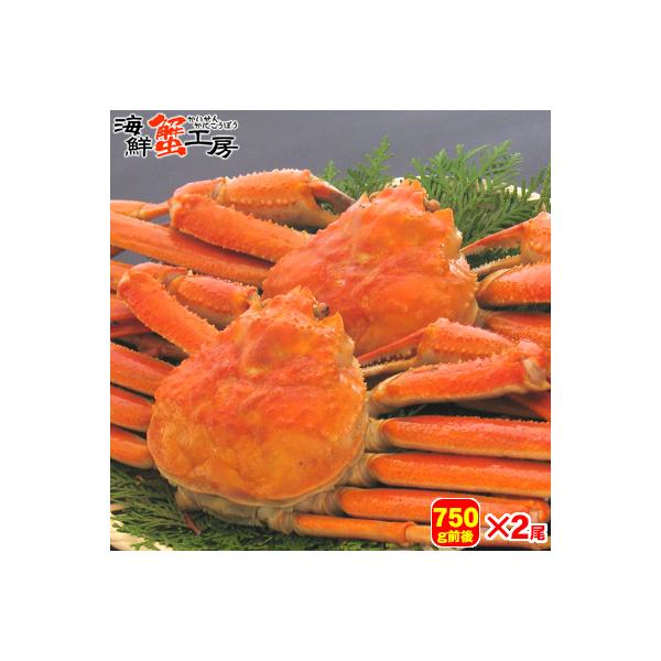 ◆商品内容【ボイル冷凍】ズワイガニ姿 750g前後×2尾※重さは冷凍状態のものです◆原材料ズワイガニ(北海道・ロシア・カナダ産)、食塩◆賞味期限冷凍（-18℃以下）保存で約60日。解凍後はすぐにお召し上がりください。◆送料一部地域を除き送料...