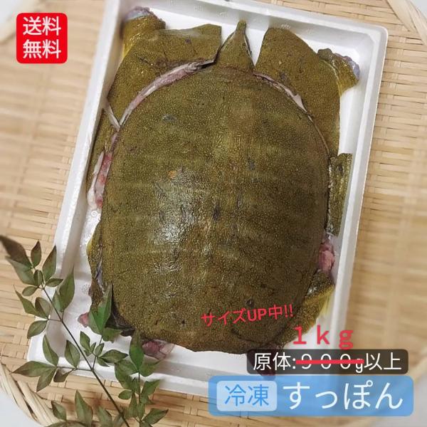 【1匹1kg以上の原体を解体処理しております。】※捌いてお届けのため上記から2〜3割ほど目減りします。この天然スッポンは血抜きをし、内臓と薄皮を下処理して肉の部分をぶつ切りの状態に処理いたします。お召し上がりの際は軽く水洗いをして、エンペラ...