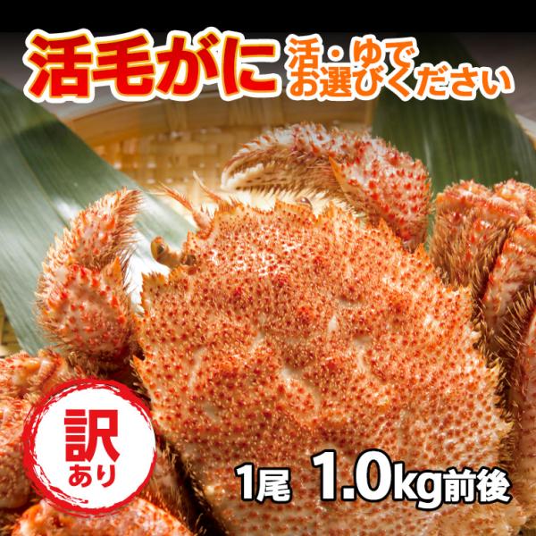 【商品内容】訳あり活毛蟹【内容量】1.0kg前後×1尾【配送方法】冷蔵でのお届けとなります。【同梱発送について】同梱可【産　地】北海道【賞味期限活状態では1日、茹でた状態では2日が目安です。生物ですのでできるだけお早めにお召し上がりください...