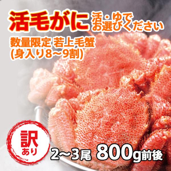 【商品内容】訳あり活毛蟹【内容量】2-3尾 計800g前後【配送方法】冷蔵でのお届けとなります。【同梱発送について】同梱可【産　地】北海道【賞味期限活状態では1日、茹でた状態では2日が目安です。生物ですのでできるだけお早めにお召し上がりくだ...