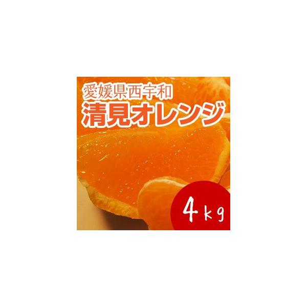サイズはL〜2L玉。個数は17〜25個。和製オレンジ。スマイルカットをしてお召し上がりください。甘さと酸味のバランスが良く、ジュースのように果汁がたっぷり、口の中にひろがります。※恐れ入りますが青果はギフト箱や包装紙でのお包みを承れません。...