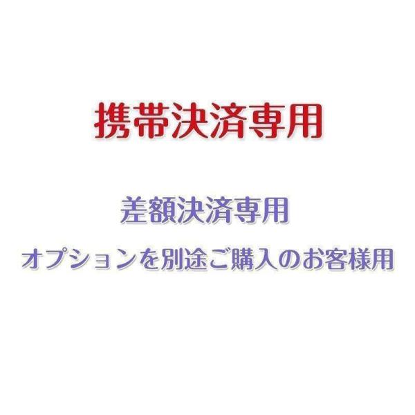 携帯決済専用　差額決済専用　オプションを別途ご購入のお客様用
