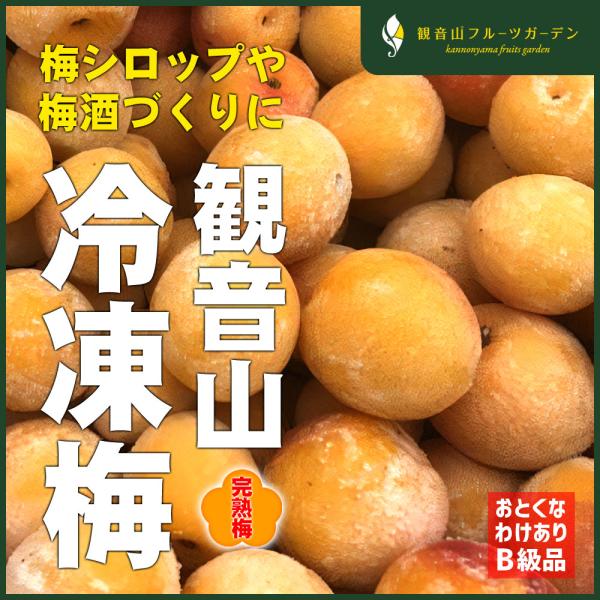 冷凍フルーツシリーズに冷凍うめが登場！そのまま解凍して食べるのもよし、自家製ジャムにするのもよし、他の料理に使うのもよし。色々な使い方が出来る冷凍ウメです。夏にもぴったりなフルーツで、冷凍のままスムージーなどにもご利用頂けます。硬めで青い梅...