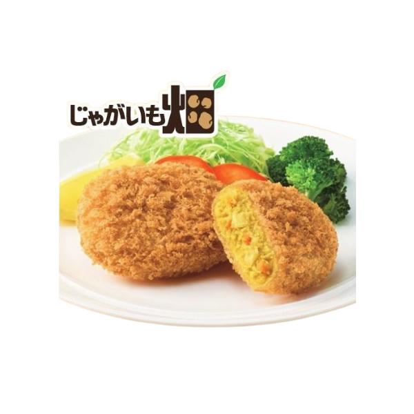 ●スパイシーさと甘さのバランスの良い冷凍カレーコロッケになります。170〜175°の油で約5分半揚げてください。●内容量:65g×20●購入前に要確認【冷凍便】での発送となります。【冷凍品】のみでの同梱発送は可能です。【常温品】【冷蔵品】を...