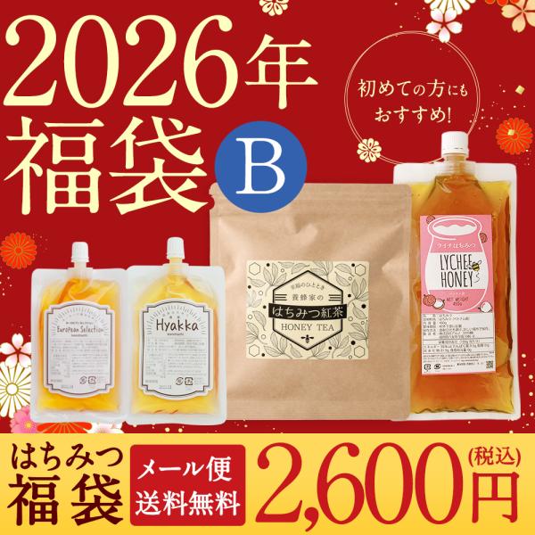 ＜2026年福袋＞・ベトナム産ライチ蜂蜜 480g・国産百花蜂蜜 90g（エコパック）・ヨーロピアン 90g（エコパック）・はちみつ紅茶 20包×1袋