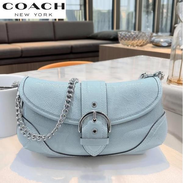 日本直営店未入荷  海外限定モデルのレア商品です。アメリカより日本オフィスを経由してお客様にお届けします。こちらの商品はお届けまで約2週間前後です。配送の進捗状況を3回程度メール配信させていただきます。 ・商品名：COACH Crinkle...