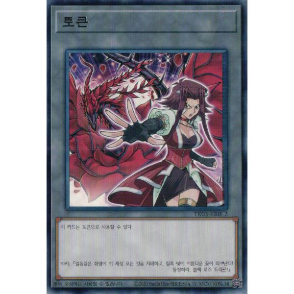 新品・未使用韓国版遊戯王カード