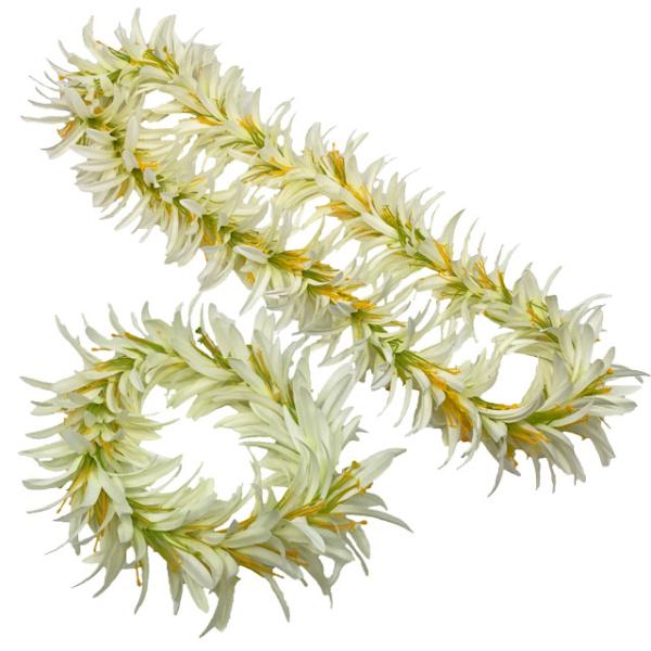 素材■化繊  長さ（ぐるり） ■レイ　約100cm■ヘッドバンドはゴム仕様  商品について ■セットの特別価格です。■申し訳ありませんが、　レイだけ、ヘッドバンドだけの販売はしておりません。 在庫について ■支店でも販売しております。■在庫...