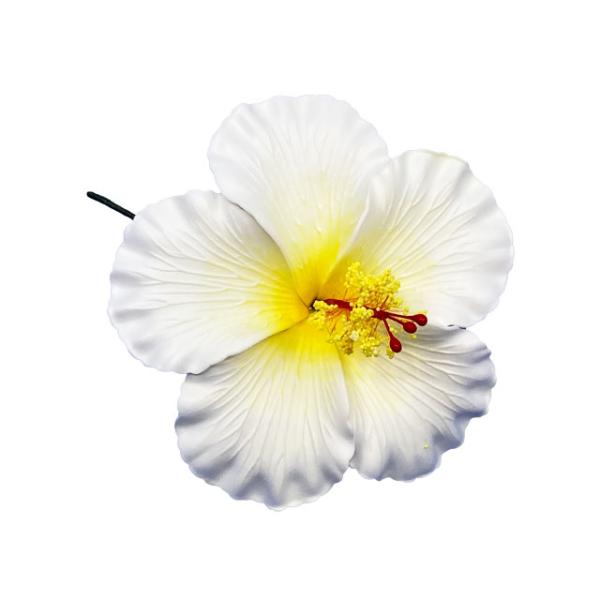 素材 ■ウレタン  サイズ ■約11cm  商品について ■入荷時期で色が変わったりもします。御了承下さい。 在庫について ■本店でも販売しております。■在庫数は確認しておりますが売り切れてしまう場合もございます。■その際は改めてご連絡いた...