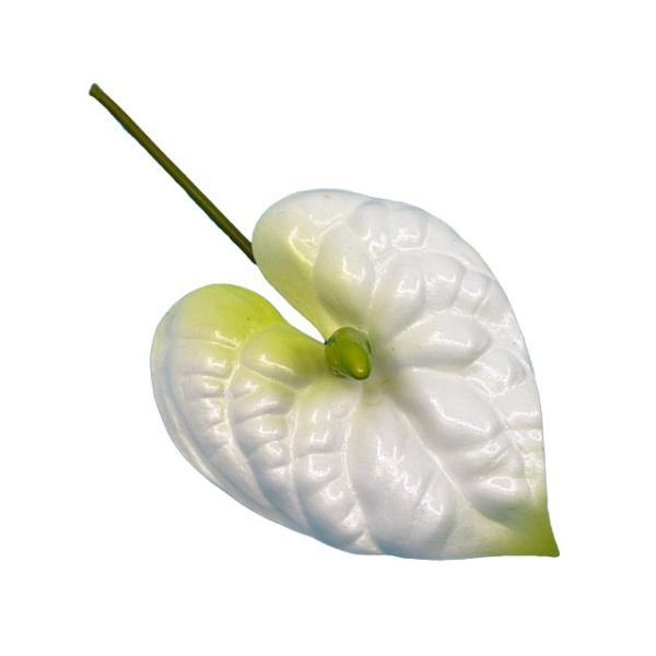 素材 ■ウレタン  サイズ ■約9cm  商品について ■入荷時期で色が変わったりもします。御了承下さい。 在庫について ■本店でも販売しております。■在庫数は確認しておりますが売り切れてしまう場合もございます。■その際は改めてご連絡いたし...