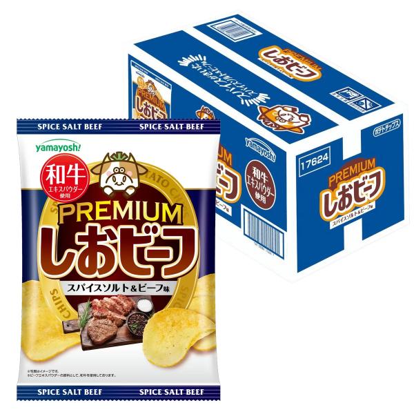 ・メーカー：山芳製菓・名称：ポテトチップス・内容量：50g×12袋（計600g）・JAN：4903084176247・味：スパイスソルト＆ビーフ味（ビーフエキスパウダー原料に和牛使用）・原材料：じゃがいも（遺伝子組換えでない）（国産）、植物...