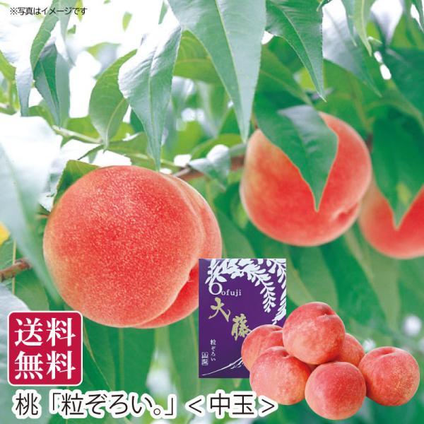 【発売日：2026年06月23日】茨城県つくば市に本社を置くスーパーの『カスミ』のおすすめ夏ギフト。「ありがとう」の想いと季節の恵みをそっと包んで、お世話になったあの人へ。