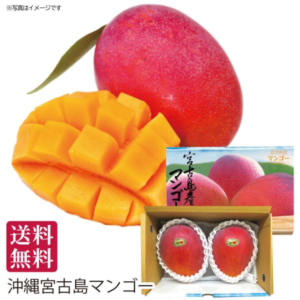 【発売日：2026年07月03日】茨城県つくば市に本社を置くスーパーの『カスミ』のおすすめ夏ギフト。「ありがとう」の想いと季節の恵みをそっと包んで、お世話になったあの人へ。