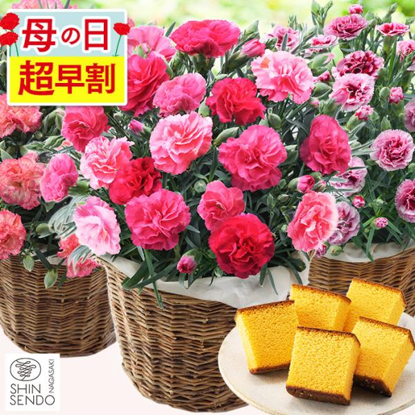 【発売日：2026年05月09日】母の日花とスイーツ2026・誕生日プレゼント ギフトランキング上位の人気な花とお菓子(おかし)・和菓子・スイーツ・食べ物・食品、とフラワーギフトのお取り寄せ詰め合わせセット。50代・60代・70代・80代・...