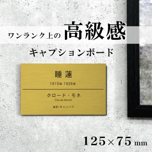 商品番号[10001475](刻印無料)キャプションボード 125×75mm(大きめ)5行用 真鍮風 ゴールド 額縁プレート 題名 美術館 個展 展示会 ギャラリー アート 絵画 額 作品 タイトル名 製作物 展示物 おしゃれ 貼るだけシー...