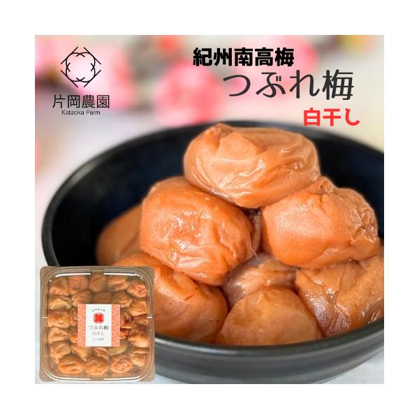 【訳あり・お得】やぶれ・傷・皮かたの梅など規格外の梅干しです。見た目は不格好ですが、味は一級品と変わりはありません。【無添加・熟成天日塩・減農薬・有機堆肥使用】有機肥料をたっぷり使って育てた 自家製の紀州南高梅と、熟成天日塩だけで漬け込んだ...