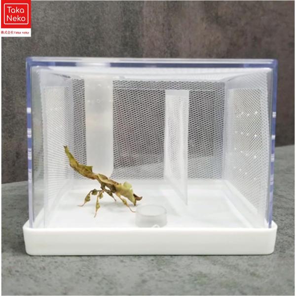 カマキリは脱皮するときに逆さまにぶら下がる習性があるため、這う必要があります。 孵化したばかりのカマキリを飼育し、脱皮して成長していく過程を体験できます。高精細な鑑賞体験：飼育箱は高精細なアクリル素材で作られており、前面にガーゼネットがない...