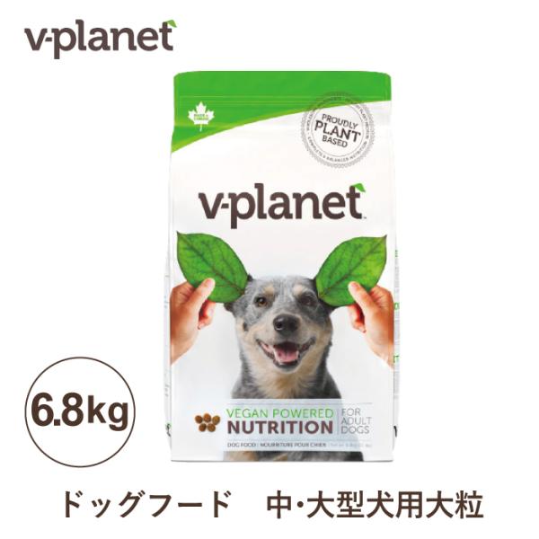 Vプラネットは100％植物性のヴィーガンドッグフード・プラントベースフードです。動物性の原材料は一切使わず、野菜や果物など植物性の原材料のみを使用。獣医師と動物栄養学者チームの監修のもと、プレミアムで栄養価の高いスーパーフードをベースに、犬...