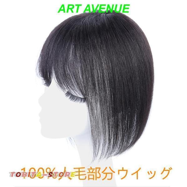 ★★★人毛ですので、お好きに色染、カットが出来ますが、専門職人にお頼みください★★★素材：人毛ヘアネットサイズ：8*12cmご自分の必要により、適当なサイズをご選択ください。ウィッグカラー：自然黒　ウィッグ長さ：20cm/25cm/30cm...