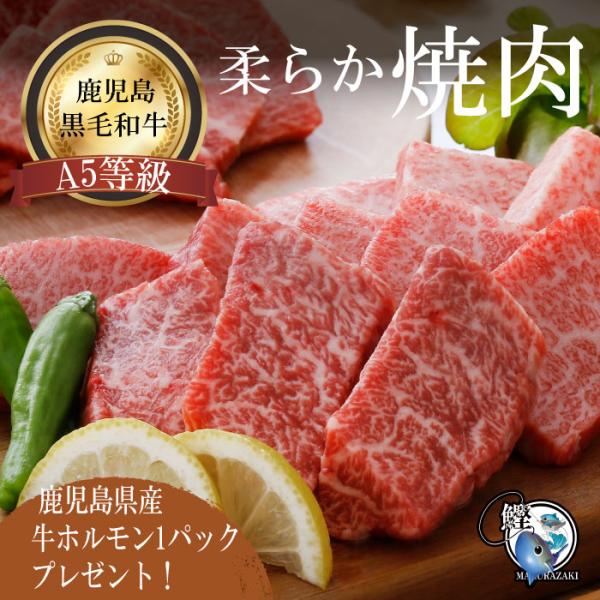鹿児島県黒毛和牛A5等級柔らか焼肉300ｇ内容量鹿児島県産黒毛和牛ウデ・モモ（300g）、鹿児島県産牛小腸（120ｇ）賞味期限個包装に記載保存方法要冷凍(−１８℃以下保存)＜用途＞贈答用 自宅用 自分用ギフト プレゼント 贈り物 お歳暮 お...