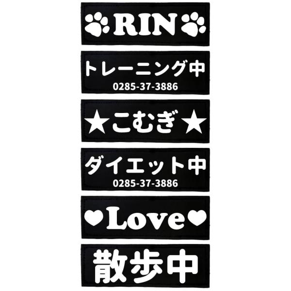 仕上げタイプ:つや消しカスタマイズ性: お好みのテキストを印字可能な2枚1組のハーネス用ネームタグです取り付け方法: マジックテープ式で簡単に着脱可能、既存のハーネスに後付けできますデザイン: 黒 or シルバー、黒タグは白文字、シルバータ...