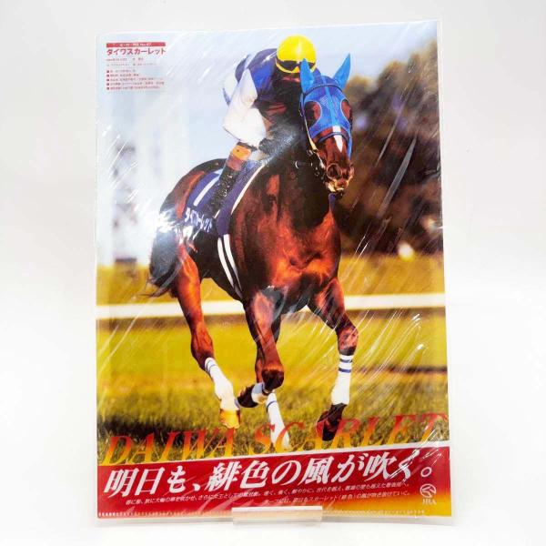 [タイプ] ダイワスカーレット ヒーロー列伝 No.67 クリアファイル[状態] 未開封品