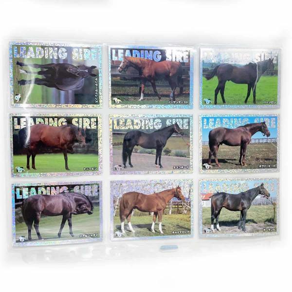 [タイプ] サラブレッドカード LEADING SIRE リーディングサイアー[状態] 目立った傷みや汚れなど特にみられません。(微細なスレなどはご容赦くださいませ。)