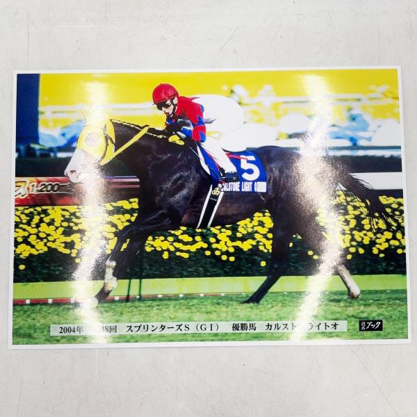 [タイプ] 競馬ブック A4サイズ 写真 カルストンライトオ スプリンターズS 大西直宏[状態] 目立った傷みや汚れはみられません。