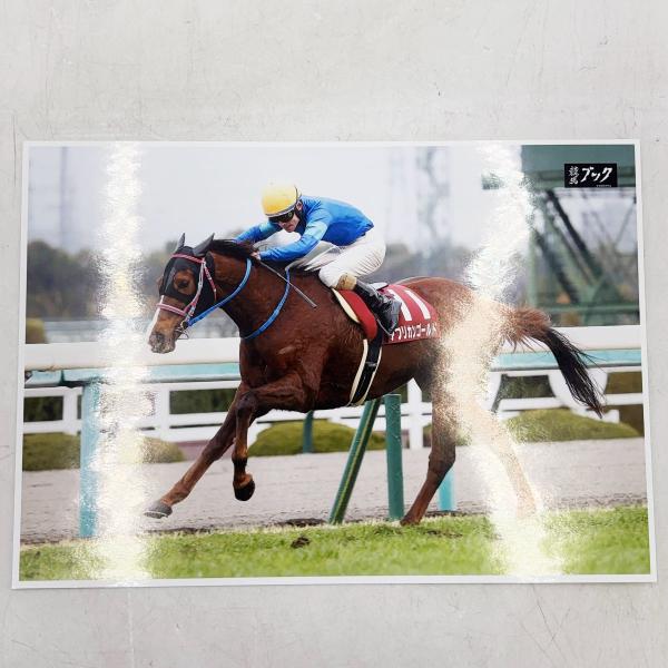 [タイプ] 競馬ブック A4サイズ 写真 アフリカンゴールド 京都記念 国分恭介[状態] 目立った傷みや汚れはみられません。