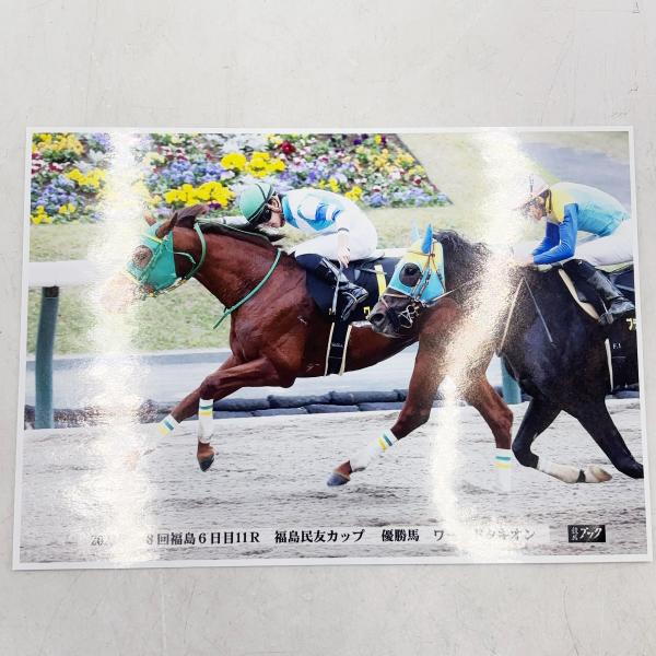 [タイプ] 競馬ブック A4サイズ 写真 ワールドタキオン 福島民友C 角田大和[状態] 目立った傷みや汚れはみられません。