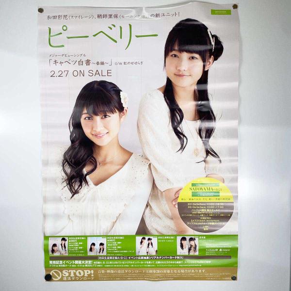 [タイプ] ポスター[状態] 多少の汚れや傷み、シワなどがみられます。