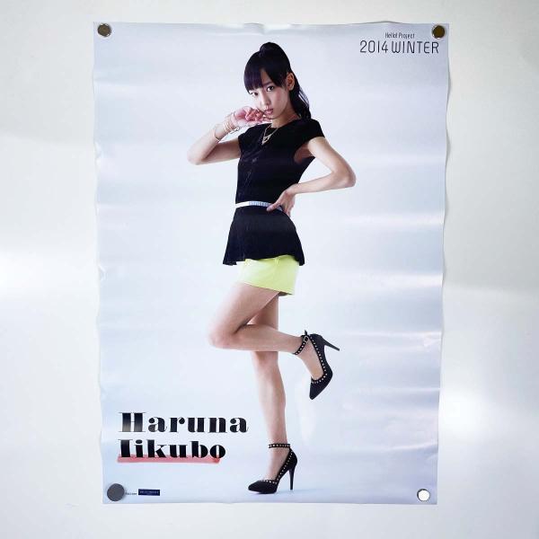 [タイプ] ポスター 飯窪春菜[状態] 多少の汚れや傷み、シワなどがみられます。