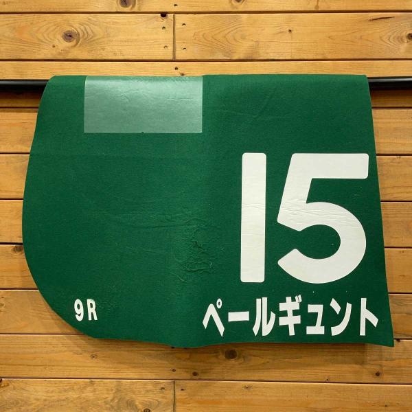 [タイプ] ペールギュント キーンランドC G3 ゼッケン[状態] レース実使用品のため、汚れや毛が付いています。