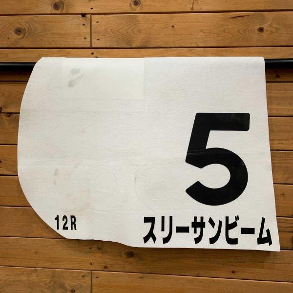 [タイプ] スリーサンビーム 実使用 ゼッケン 4歳以上1000万下 秋山真一[状態] レース実使用品のため、汚れや毛が付いています。