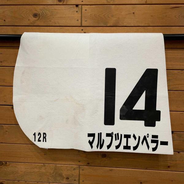 [タイプ] マルブツエンペラー 実使用 ゼッケン[状態] レース実使用品のため、汚れや毛が付いています。