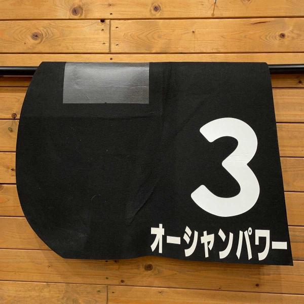 [タイプ] オーシャンパワー 実使用 ゼッケン[状態] レース実使用品のため、汚れや毛が付いています。