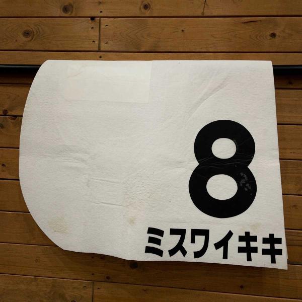 [タイプ] ミスワイキキ 実使用 ゼッケン[状態] レース実使用品のため、汚れや毛が付いています。